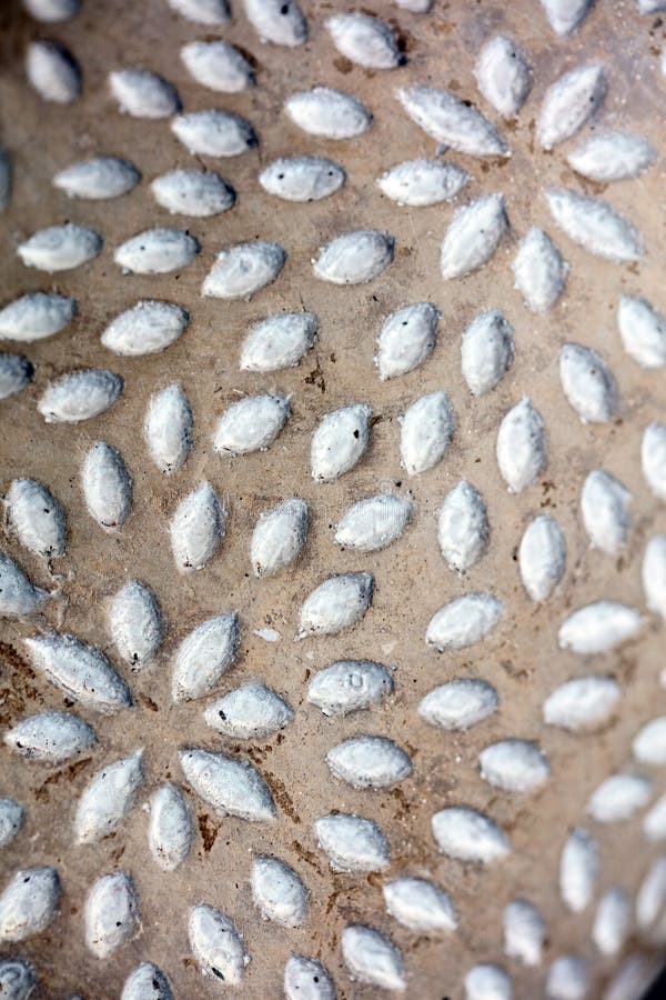 Clay White Pot with Flower Decoration Macro Background High Quality ...