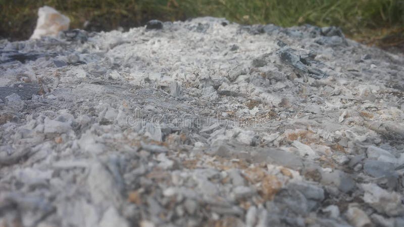 Clean ash . stock image. Image of leaf, snow, freezing - 179202943