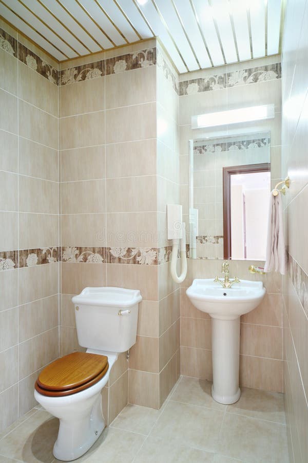 Clean Bathroom with Toilet and Washbasin with Mirror Stock Image ...