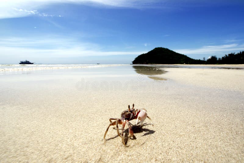 Clean Beach White Sand Blue Sky Stock Photo - Image of travel, cloud ...