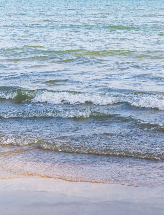 Clean beach stock photo. Image of coast, tropical, clean - 36128134