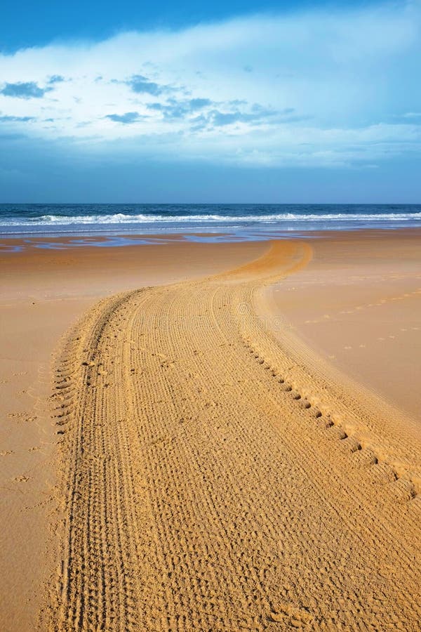 Clean Beach stock image. Image of planet, protect, environmental - 5401959