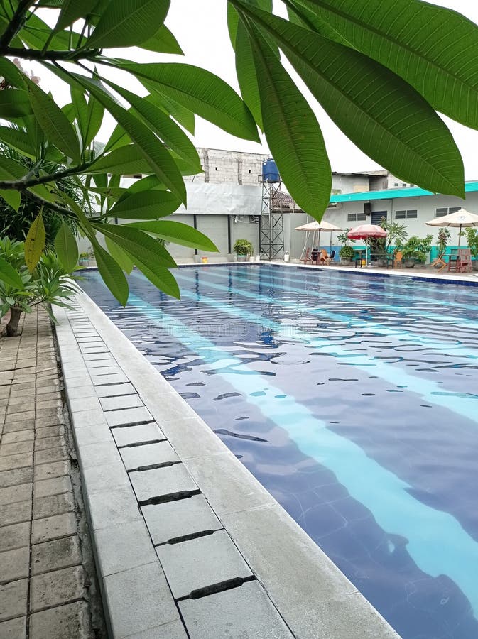Clean and Beautiful Swimming Pool in the City Stock Photo - Image of ...