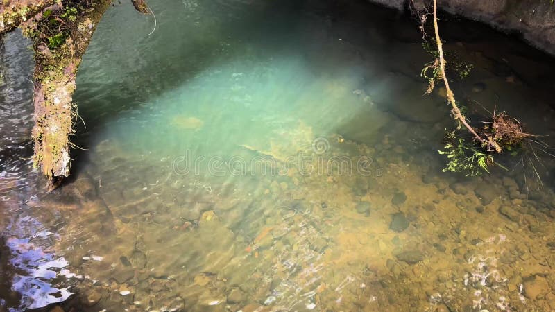 Clean Blue River and Pond in Deep in Forest Mountains Around Water Fall ...