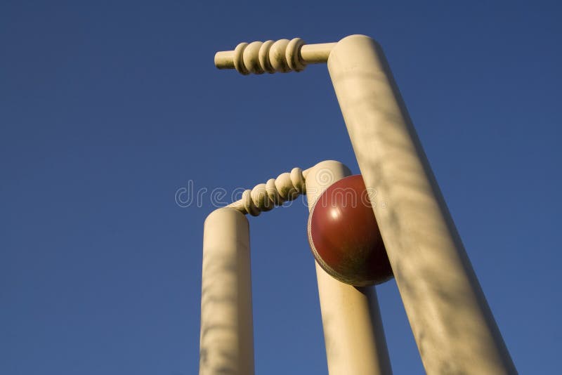 Clean bowled stock image. Image of match, willow, hampshire - 4996749