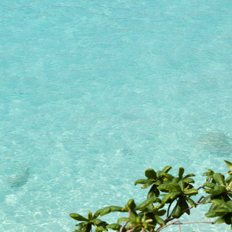 Clean and Clear Water after a Spring Rain Stock Image - Image of ...