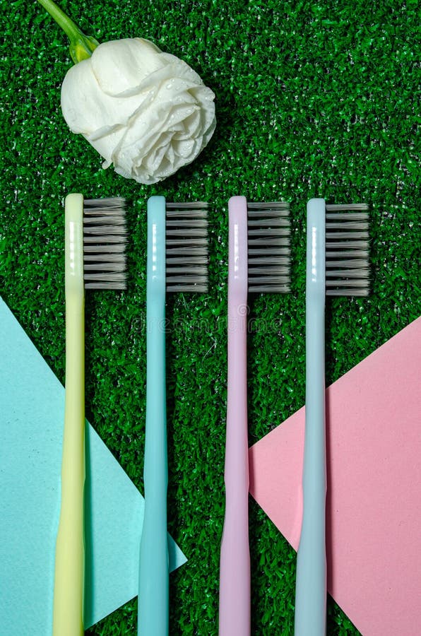 Clean Colorful Toothbrushes on Green Grass Stock Photo - Image of ...