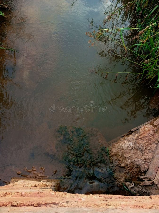 Clean Community River Flowing with Green Algae Under the River Stock ...