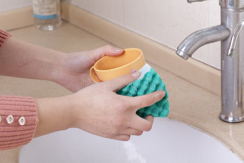 Hand Sponge Cleaning Cups Stock Photos - Free & Royalty-Free Stock ...