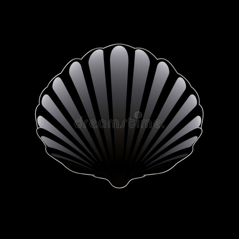Clean Design: Shell Illustration with Rounded Shapes on White ...