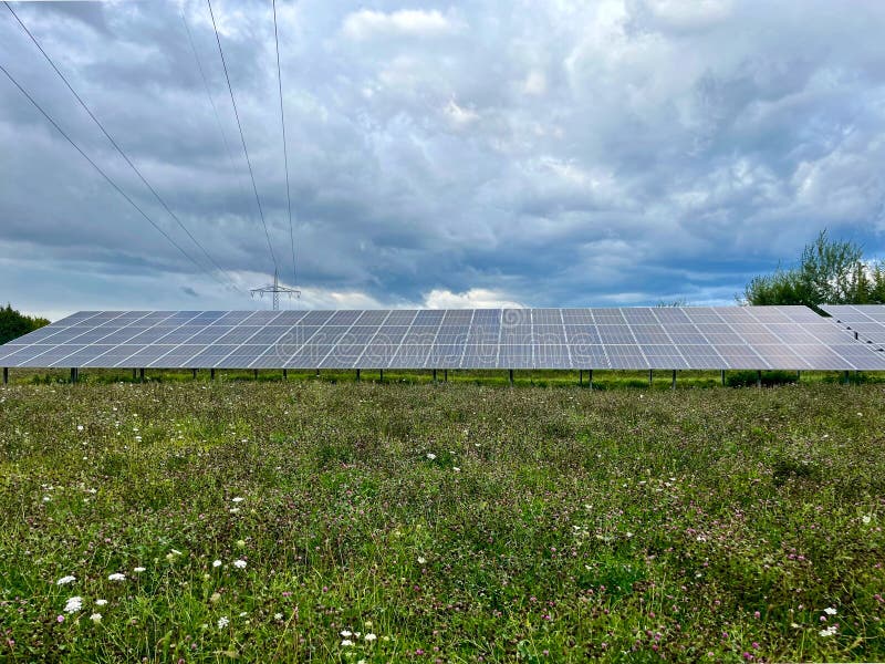 Clean Energy Against the Backdrop of Nature - Solar Panels and Ecology ...
