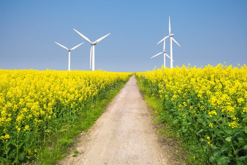 Clean energy in the spring stock image. Image of nature - 52225271