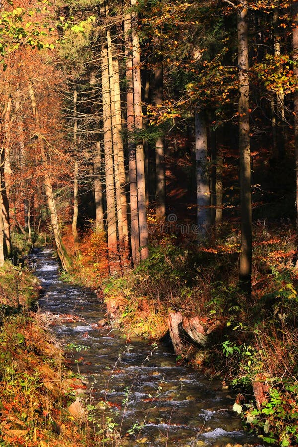 Clean Air, Forest, Lake, Pond, Tree, Scenic Beauty, Autumn, Nature ...