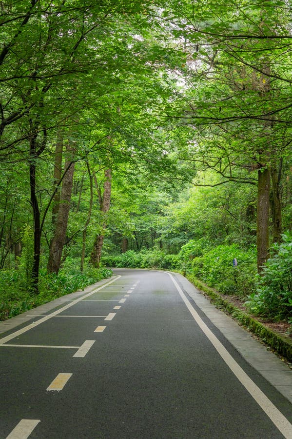 Straight road stock photo. Image of sides, clean, curve - 249262146