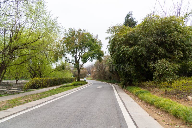Road in spring stock image. Image of path, pathway, nature - 311643013