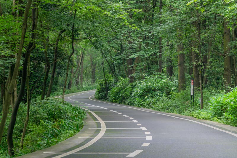 Winding road stock photo. Image of transportation, nature - 249262166