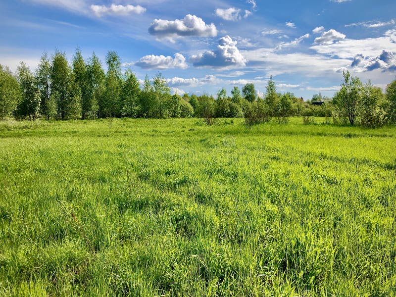 Natural Environment, Clean Ecosystem Stock Photo - Image of countryside ...