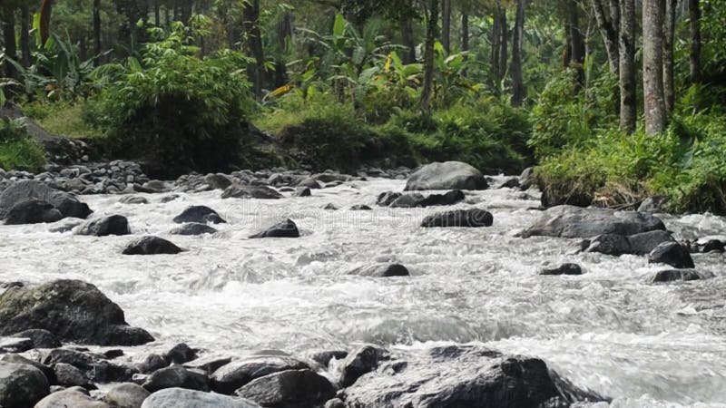 Clean, Fresh, Beautiful River Footage, with Greenery. Stock Footage ...