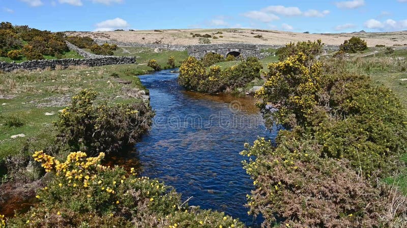 Clean Fresh Drinking Water on Dartmoor Stock Video - Video of river ...