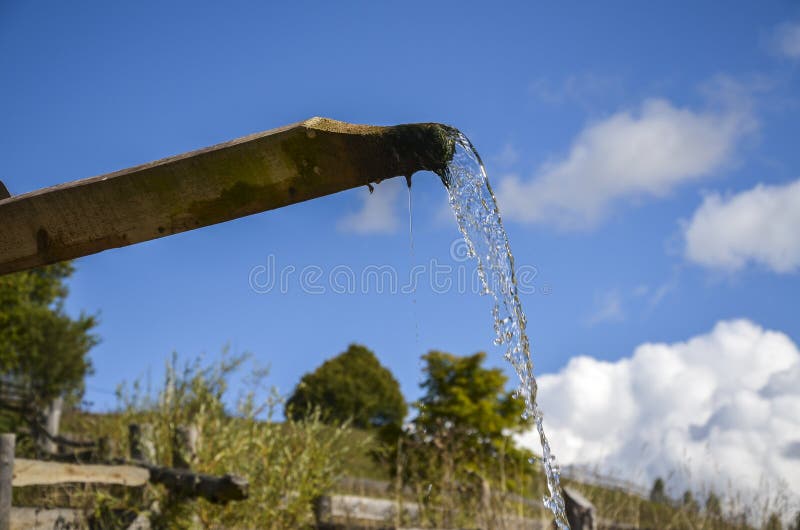 Clean Fresh Drinking Water Falls from a Wooden Channel in Nature Stock ...
