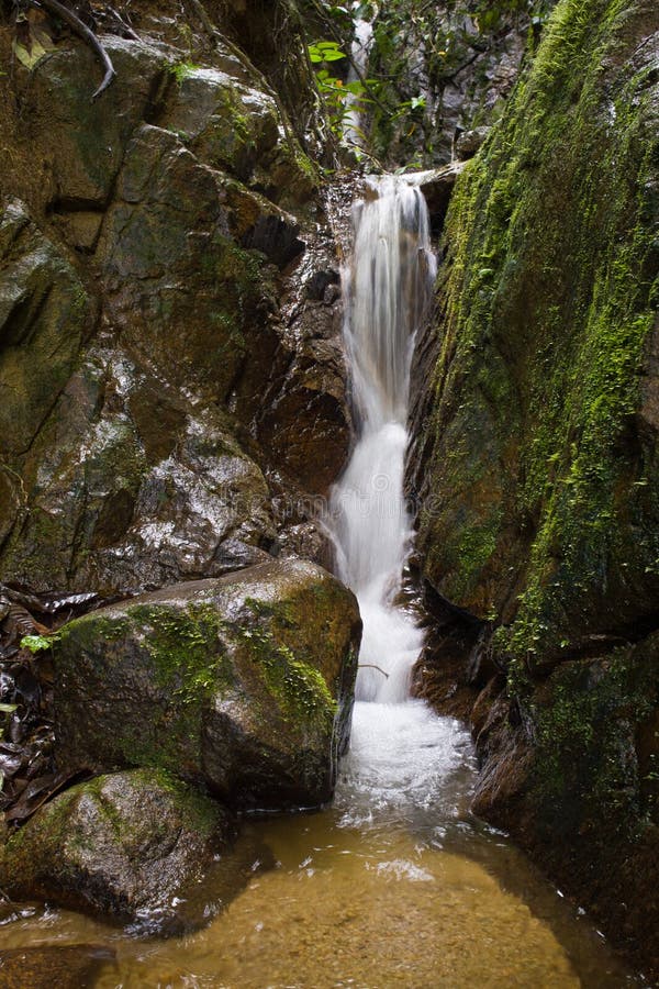 Clean Fresh Water Stream Flowing Stock Photo - Image of flow, mossy ...