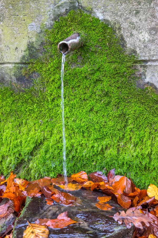 Clean Fresh Water from Water Source with Green Moss Stock Photo - Image ...