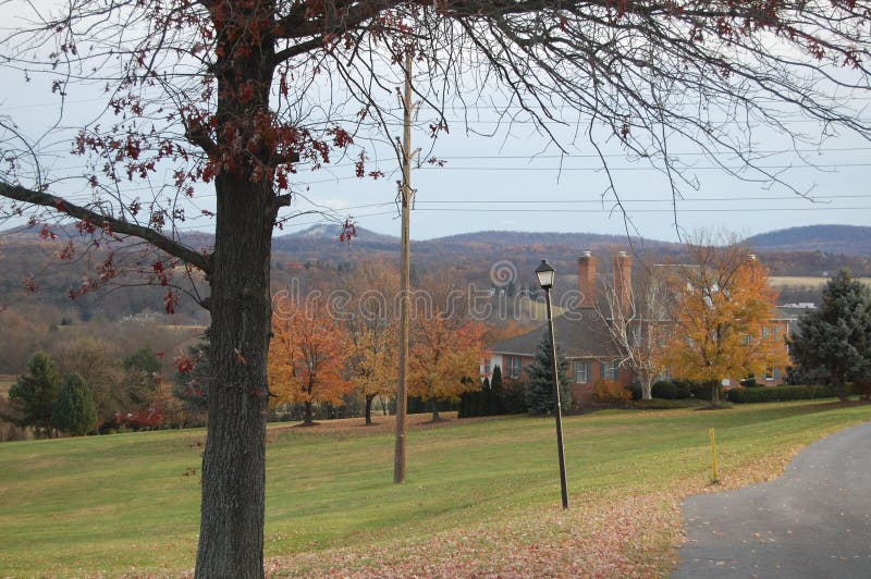 A Clean Garden with Building on it and Tree in Front of it Stock Photo ...