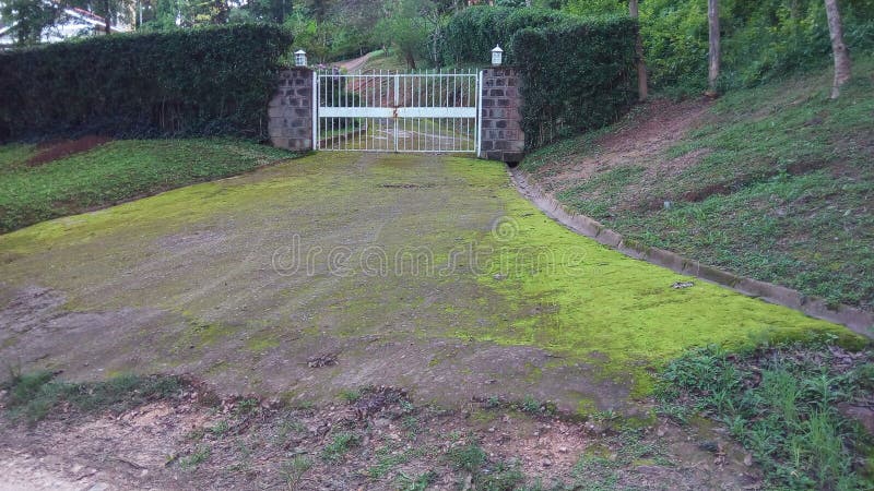 Smart Ancient African Gate Stock Photos - Free & Royalty-Free Stock ...