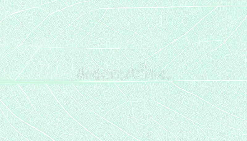 Clean Green Background with White Lines, a Minimalist Design for Modern ...