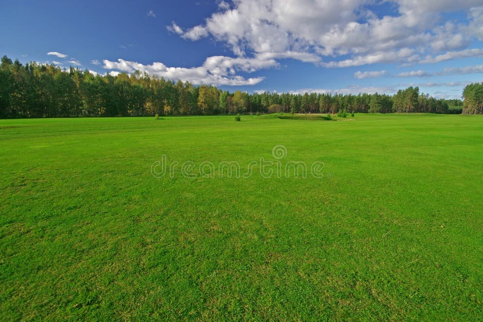 Clean green field stock photo. Image of agriculture, green - 2336926