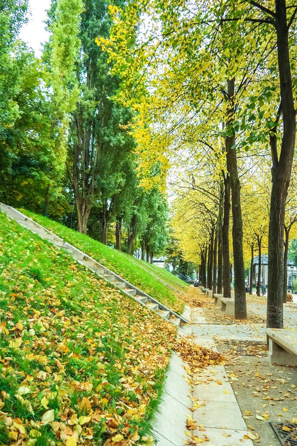 Green Walk stock photo. Image of nature, view, landscape - 101987320