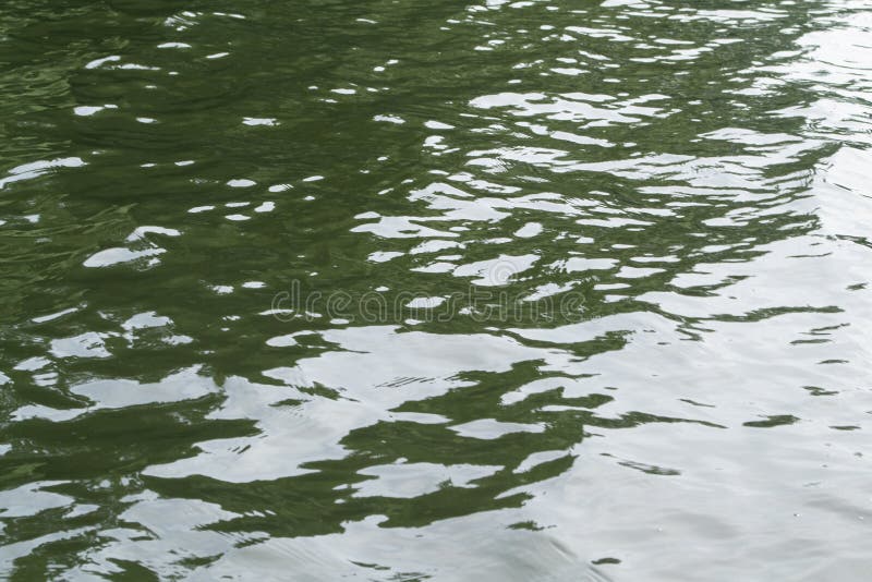 Clean Green Water Background with Sunlight Reflection, Green Water ...