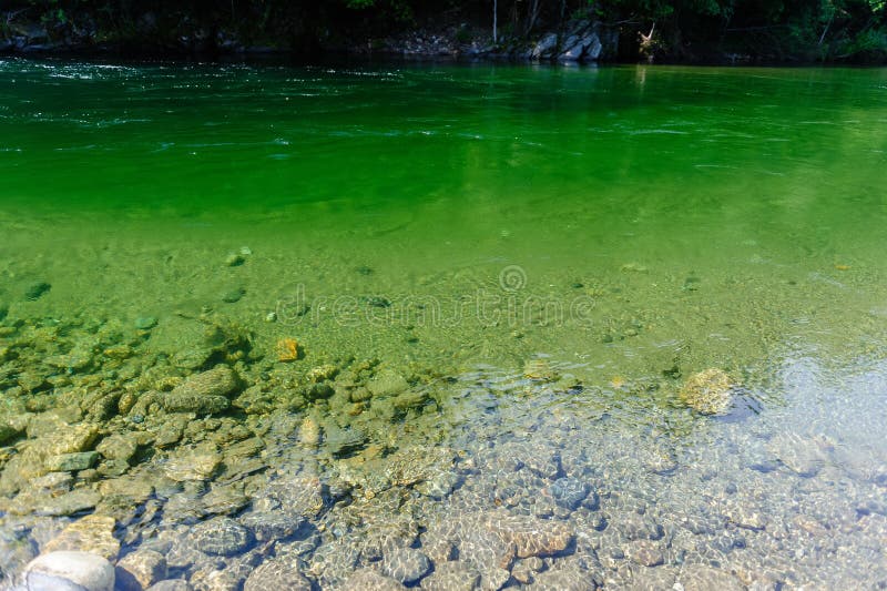 Clean green water stock photo. Image of cold, beach, vacation - 53502084
