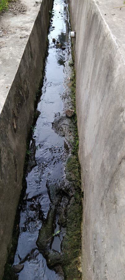 Clean Gutters Even There is Not Enough Water and Fish Stock Image ...