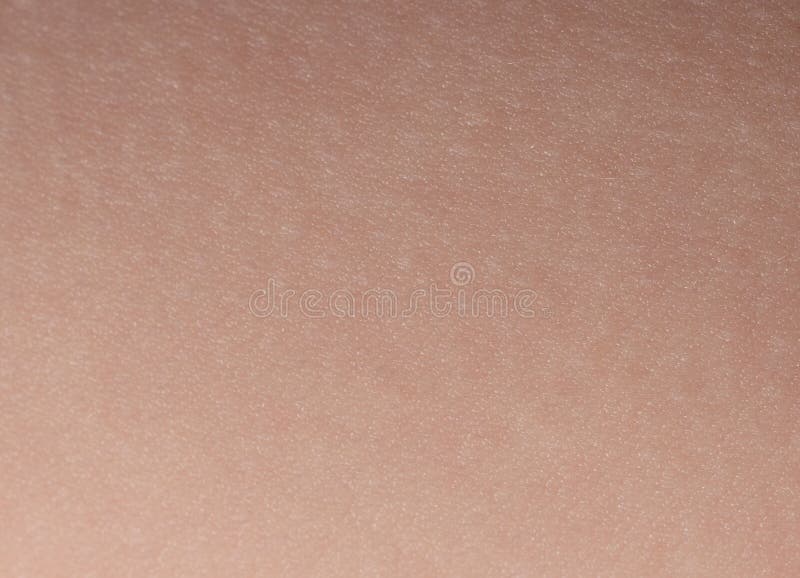 Clean human skin pattern stock photo. Image of detail - 282997042