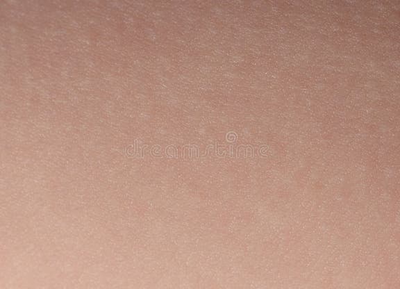 Clean human skin pattern stock photo. Image of detail - 282997042