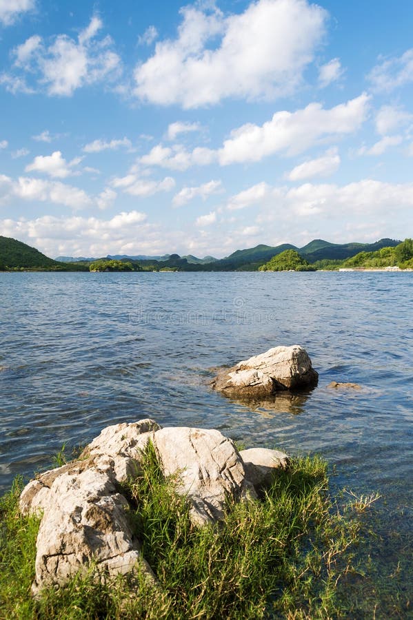 Clean Lake in Green Spring Summer Forest Stock Photo - Image of blue ...