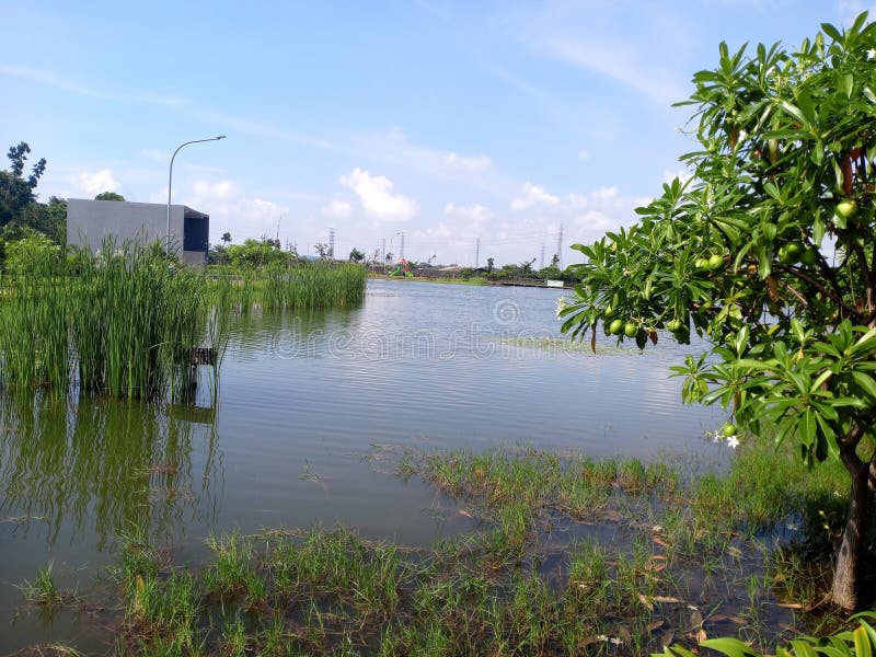 Clean lake in the morning stock image. Image of canal - 372517731
