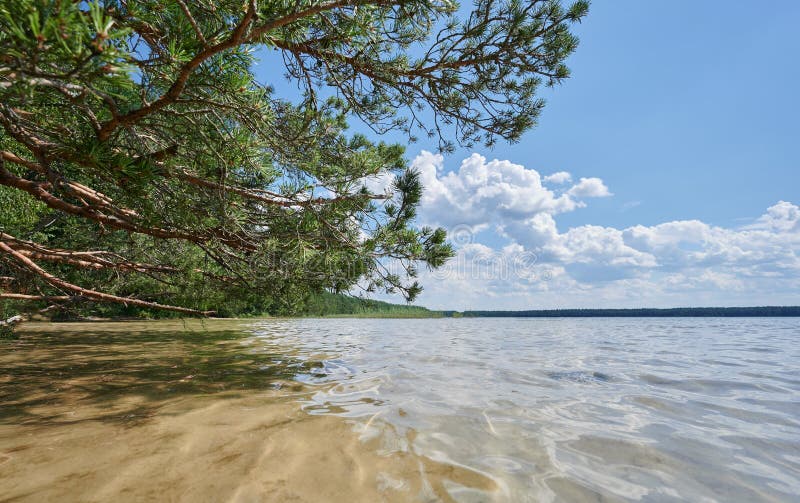 Clean lake water stock photo. Image of scenic, beautiful - 218136982