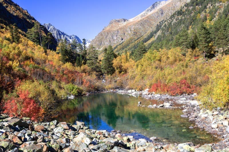Clean mountain pond stock image. Image of wild, mountains - 51010673