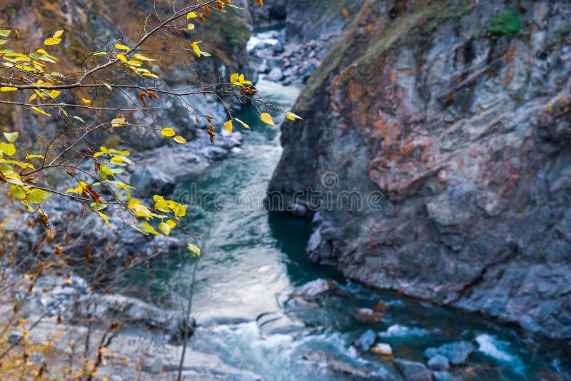 Clean Mountain River in the Autumn Forest Stock Image - Image of clean ...