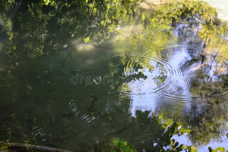 Clean Mountain River, Blue in Color Stock Photo - Image of wetland ...