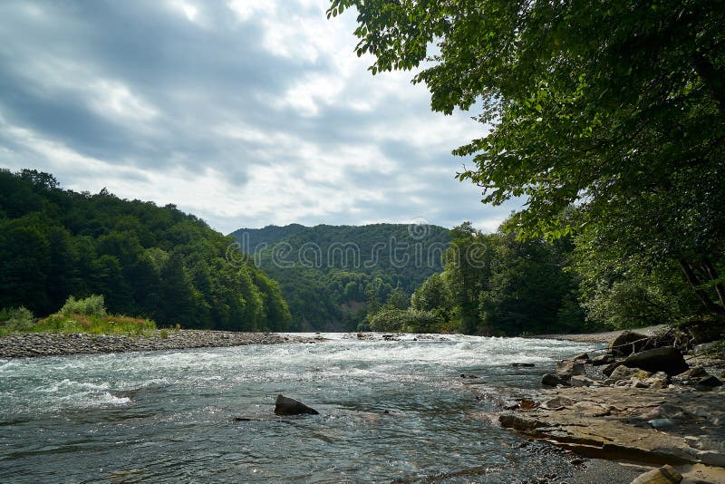 Clean mountain river stock photo. Image of beautiful - 229925450