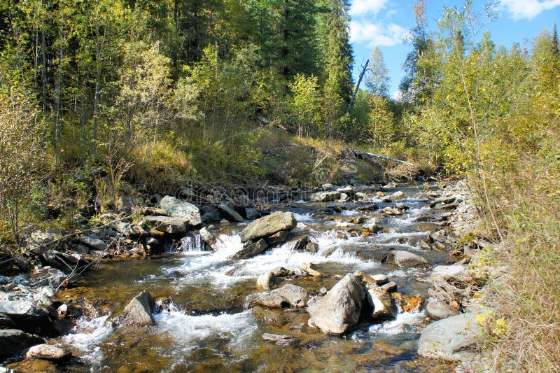 The Clean Mountain Stream in Sayan Mountains. Siberia Stock Image ...
