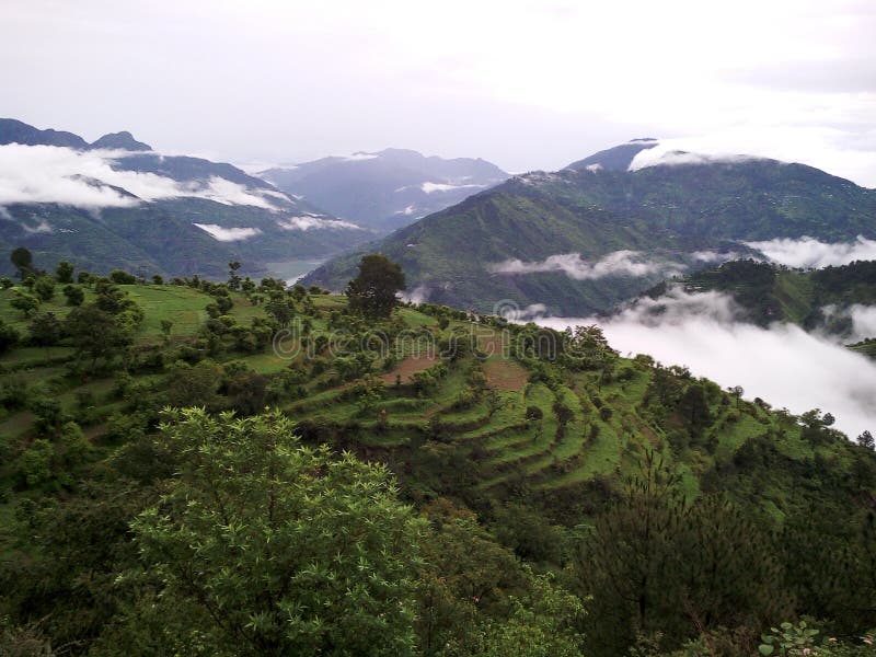 Clean nature stock photo. Image of scene, nature, clean - 124040196