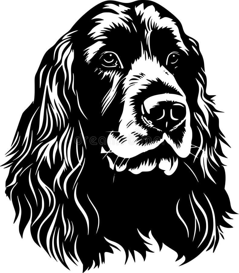 Cocker Spaniel - Black and White Vector Illustration Stock Vector ...