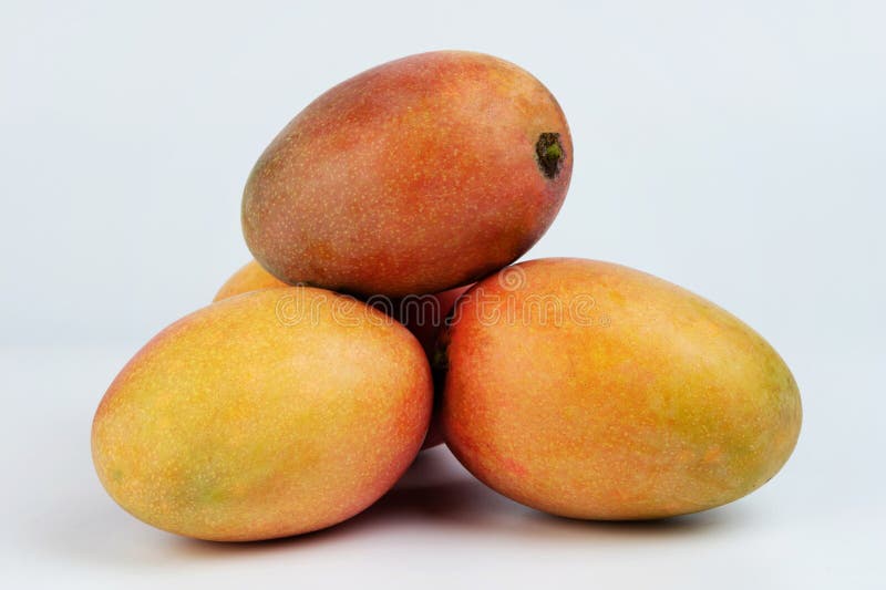 Clean Orange Color Mango Fruits Stock Photo - Image of nature, tasty ...