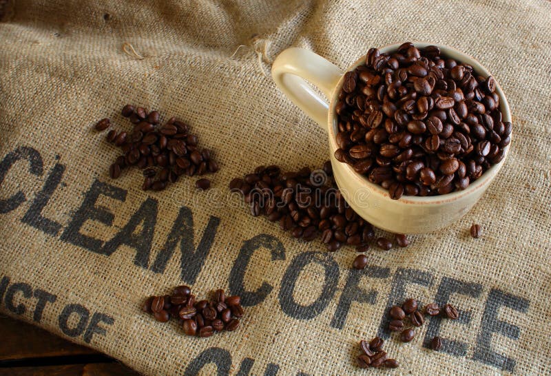 Clean organic coffee beans stock photo. Image of coffee - 38727798