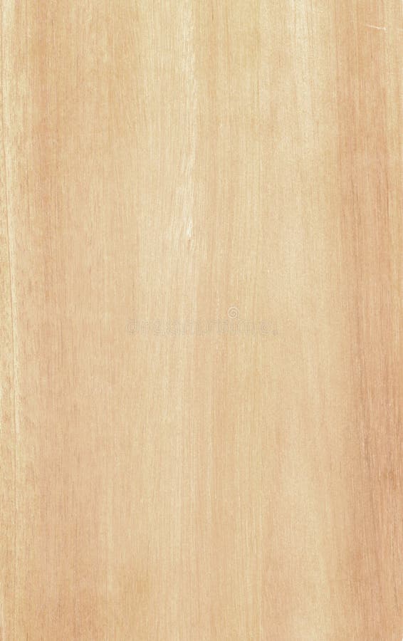 Pine Texture Seamless