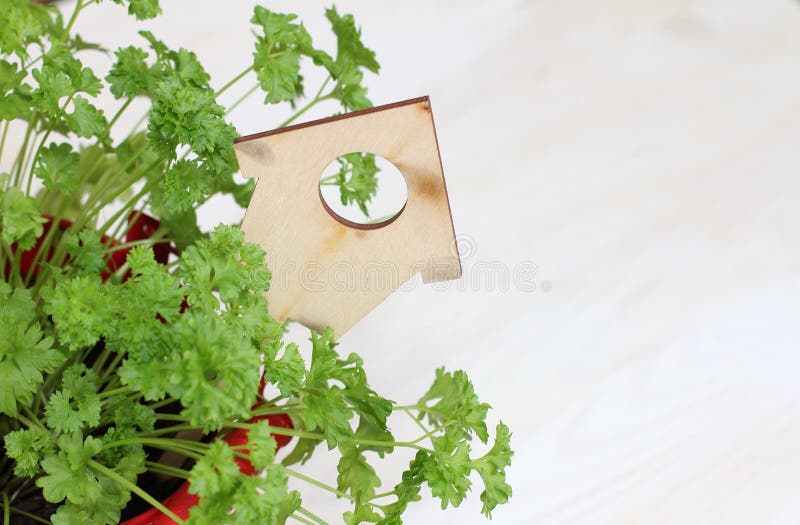 Clean place for the house stock image. Image of design - 67030173